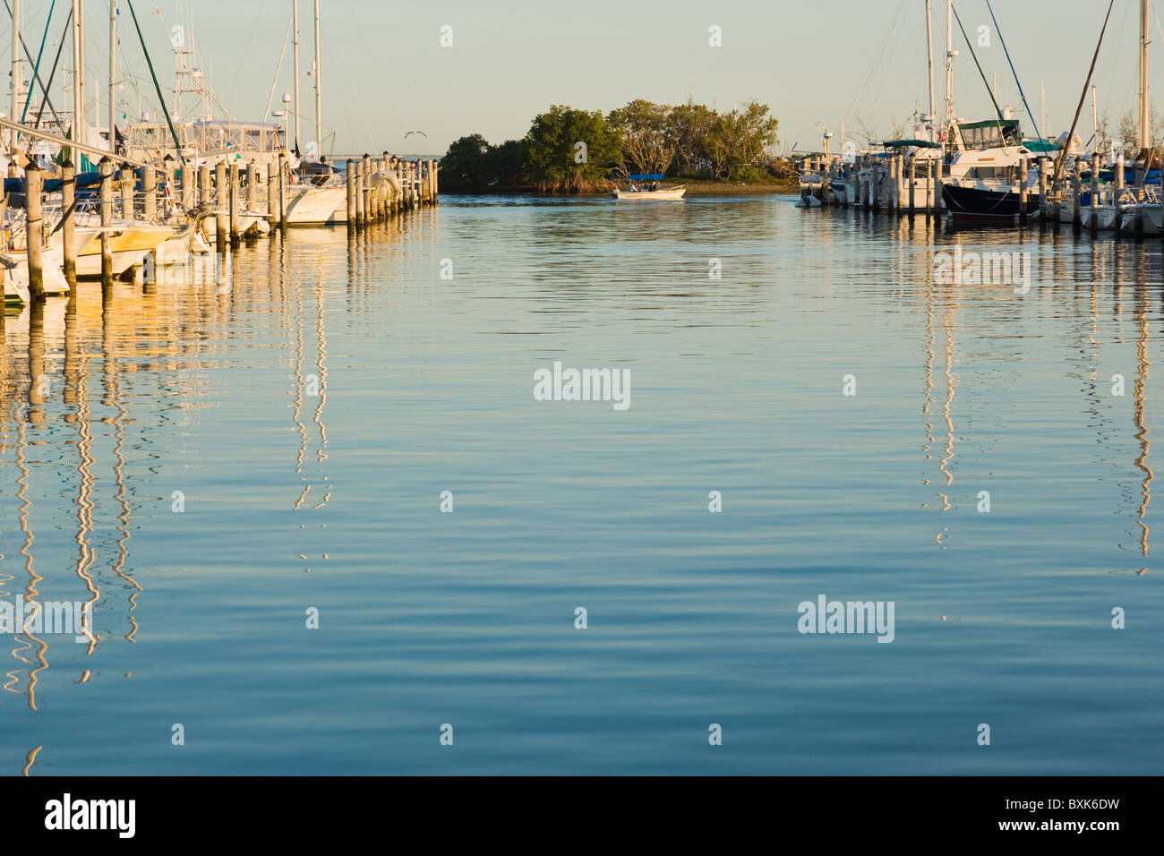 Coconut Grove, Marina, Miami, Florida Stock Photo - Alamy