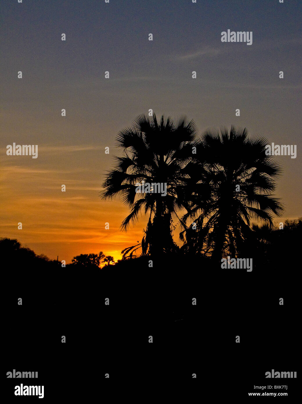 African sunset colors hi-res stock photography and images - Alamy