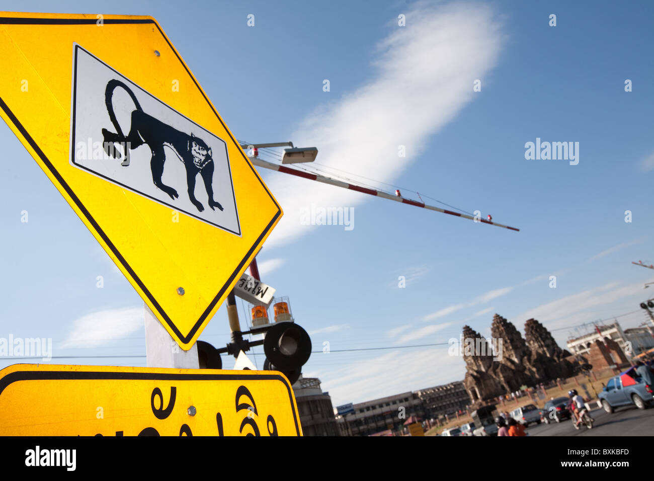 Beware: Monkey Zone sign warns drivers about free running Crab-eating ...