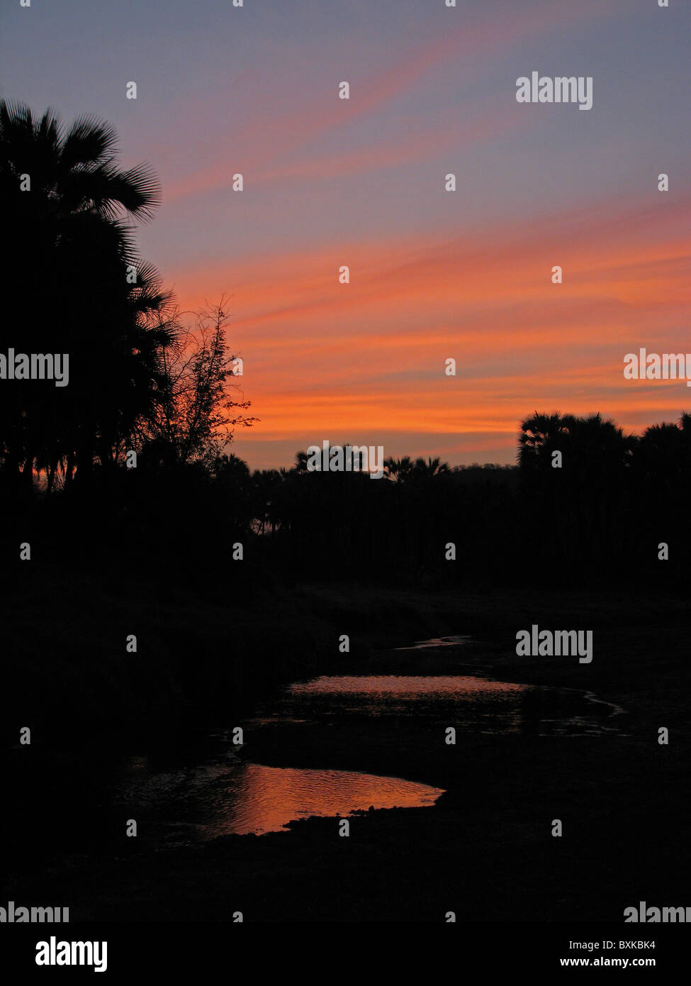 African sunset colors hi-res stock photography and images - Alamy