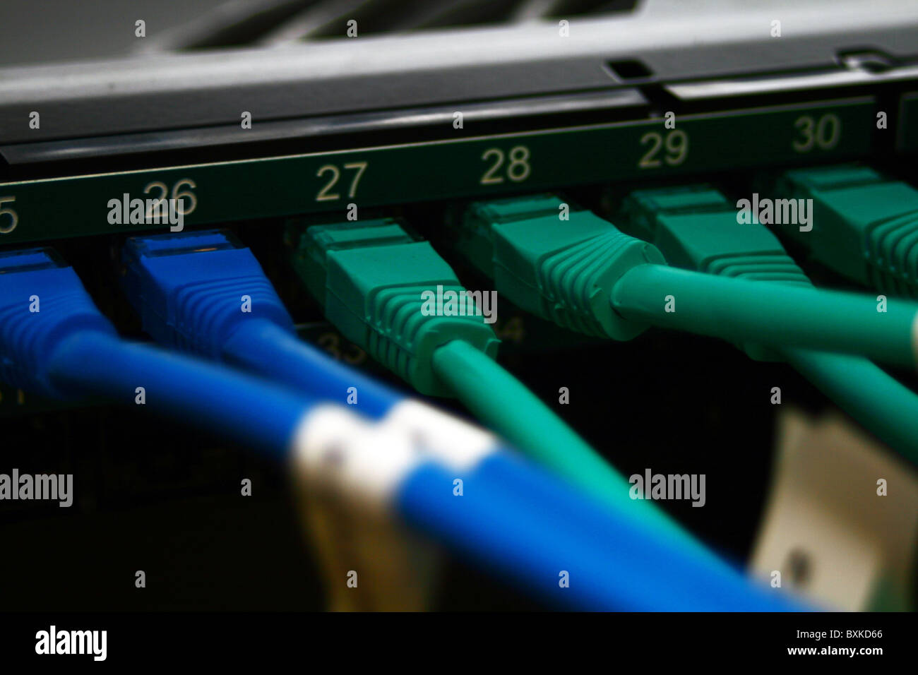 Ethernet cables connected to a switch Stock Photo - Alamy