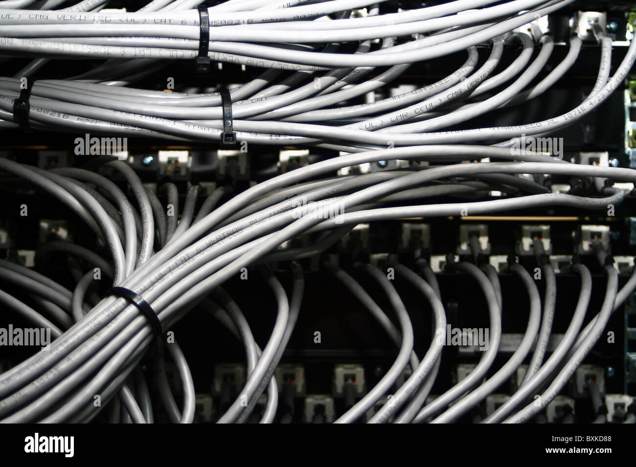 Ethernet cables connected to a switch / terminal blocks Stock Photo - Alamy
