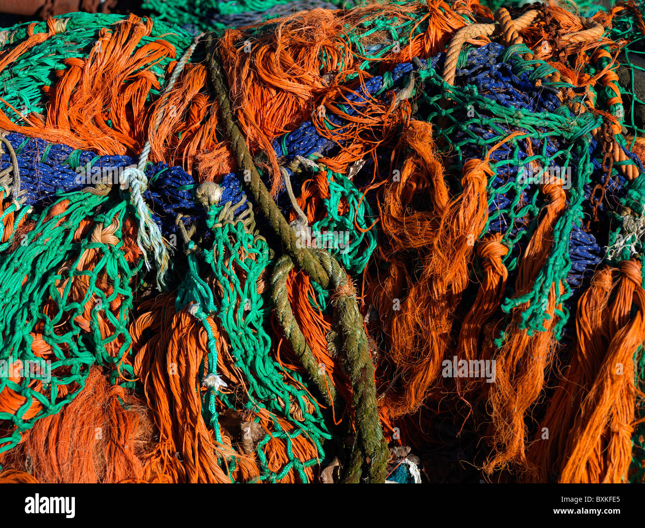 Hasselblad hi-res stock photography and images - Alamy