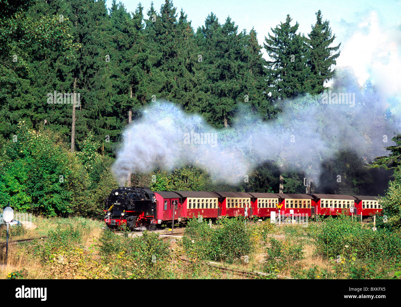 Harz Mountains, Steam Train Stock Photo - Alamy