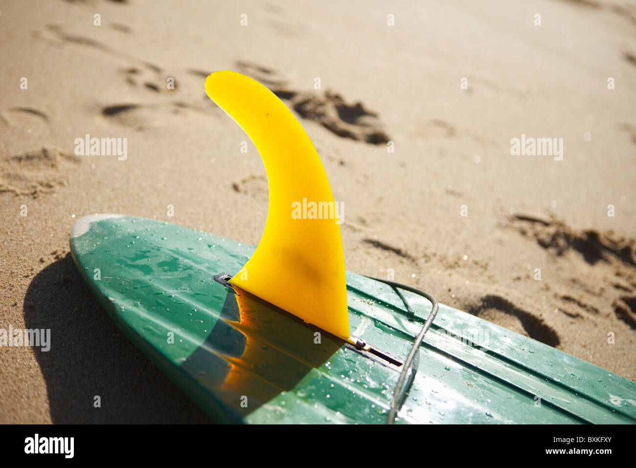 Surf Board, Baja California Sur, Mexico Stock Photo - Alamy