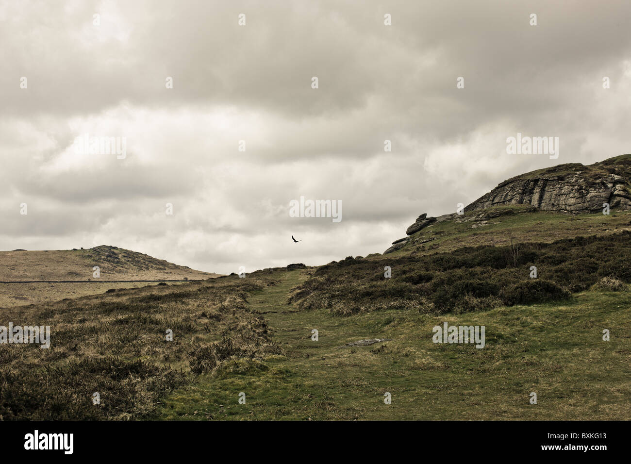 Haytor, Dartmoor, Devon, England Stock Photo - Alamy