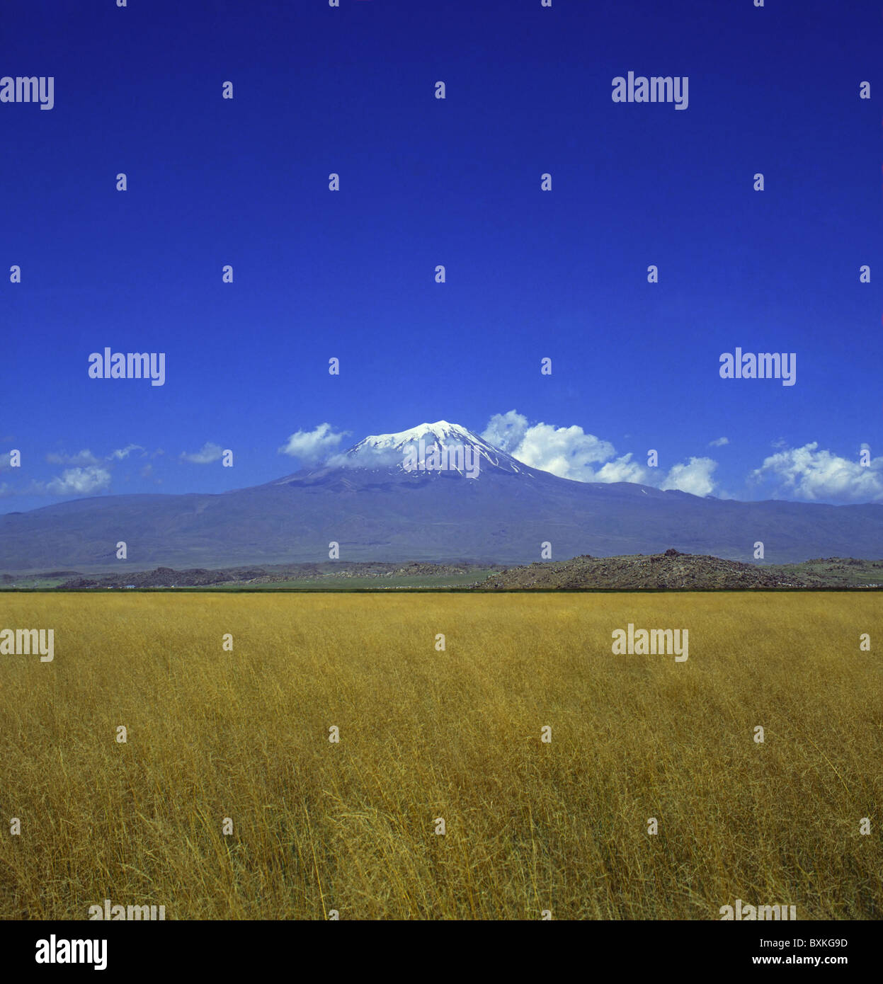Noah's ark ararat hi-res stock photography and images - Alamy