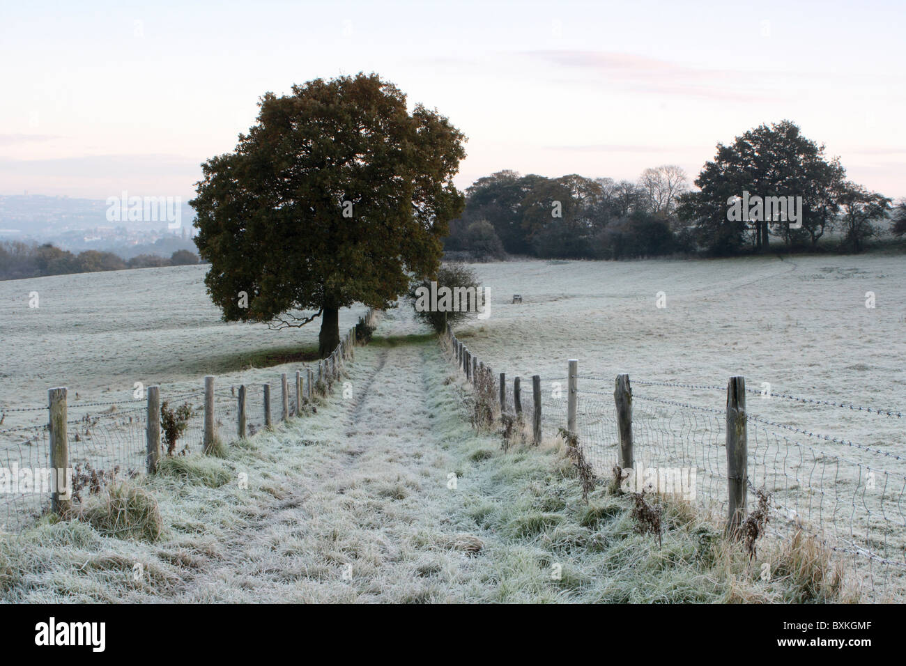 Pedmore hi-res stock photography and images - Alamy