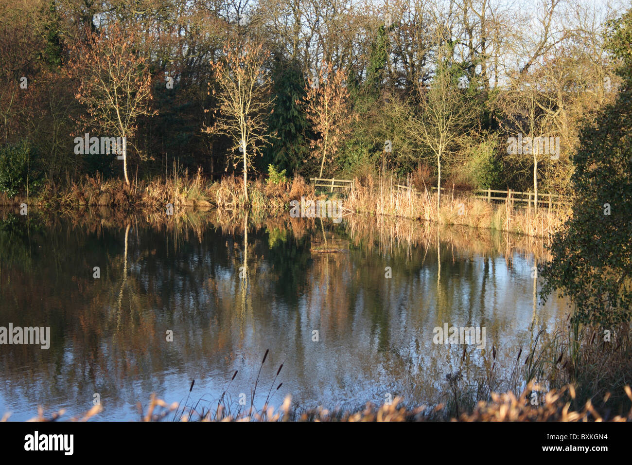 Chesterton hi-res stock photography and images - Alamy