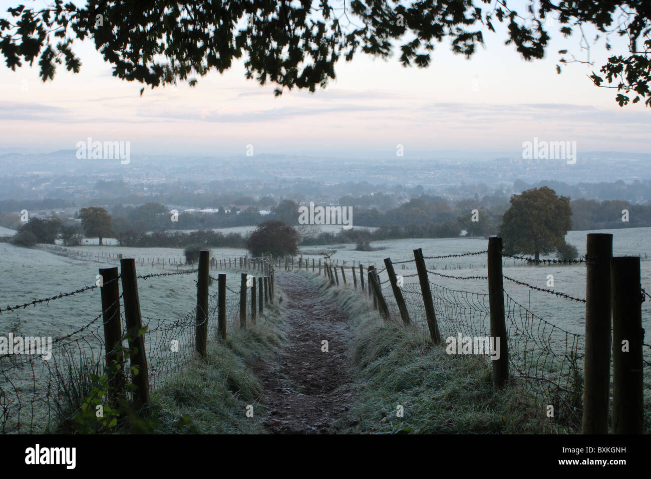 Pedmore hi-res stock photography and images - Alamy