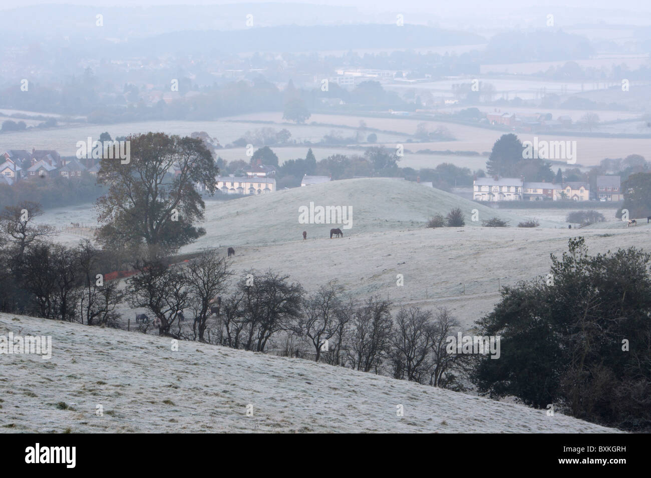 Pedmore hi-res stock photography and images - Alamy