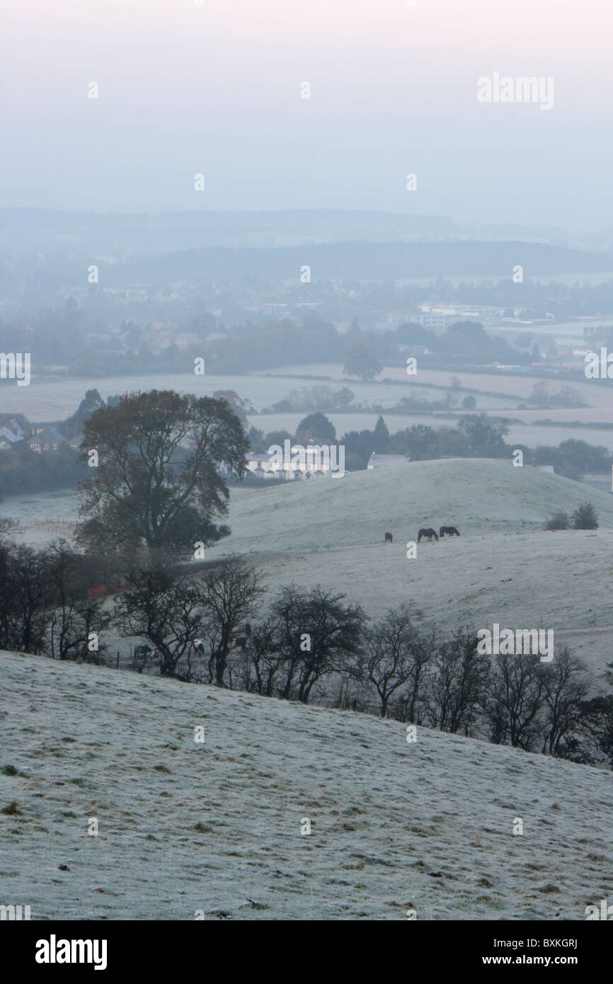 Pedmore hi-res stock photography and images - Alamy