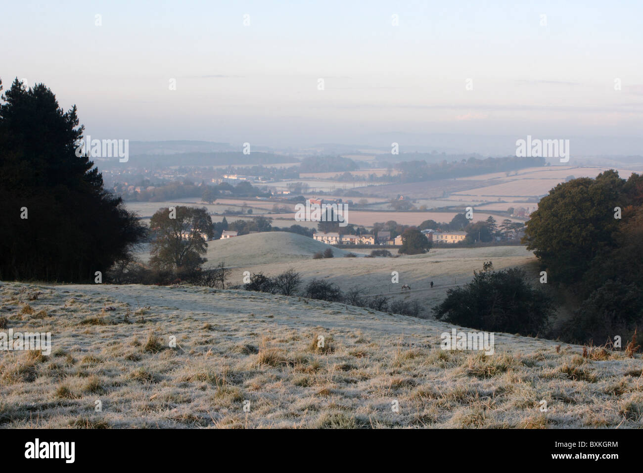 Pedmore hi-res stock photography and images - Alamy