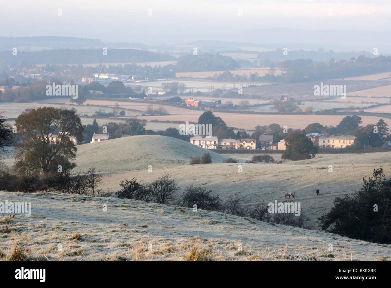 Pedmore hi-res stock photography and images - Alamy