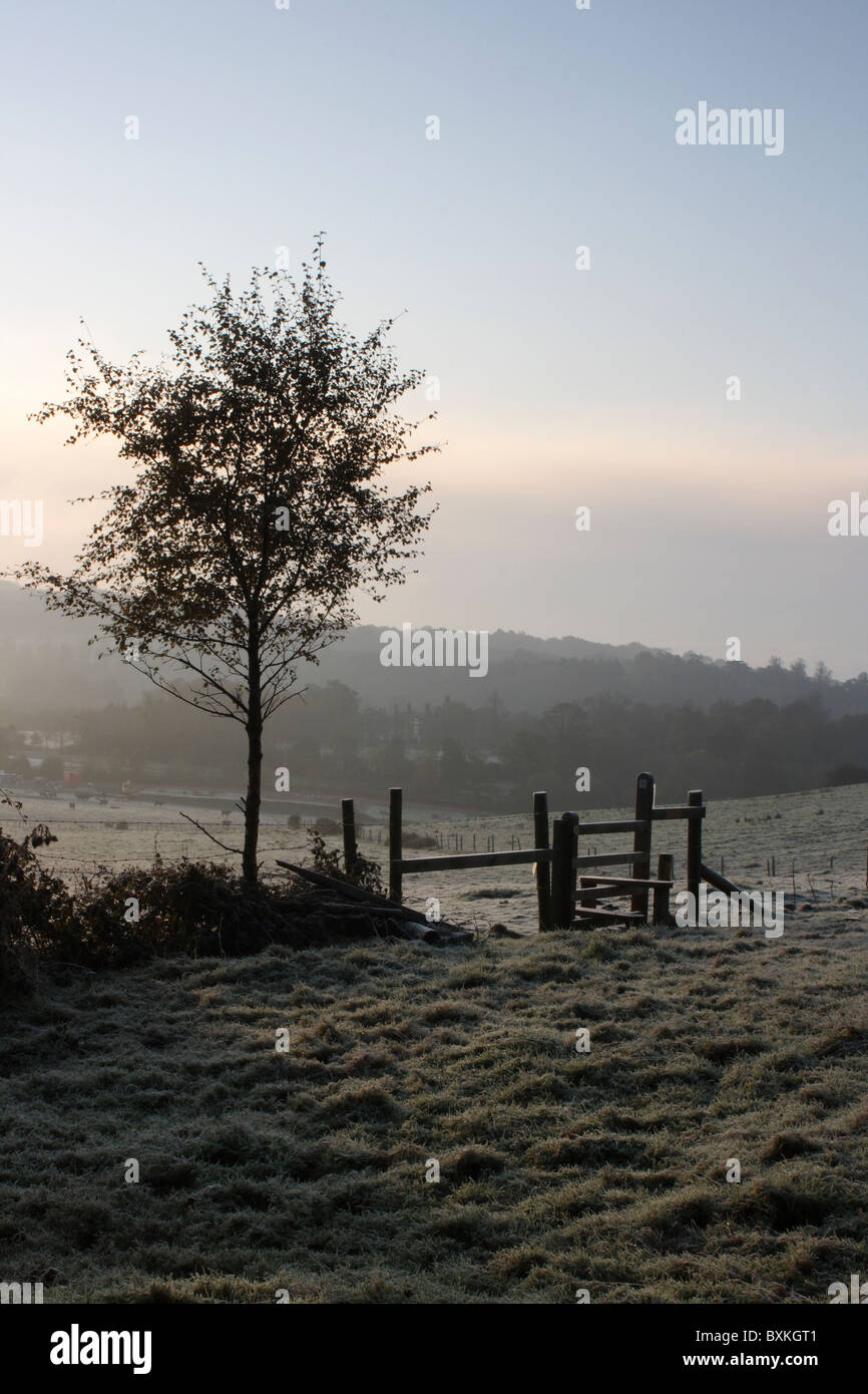 Pedmore hi-res stock photography and images - Alamy