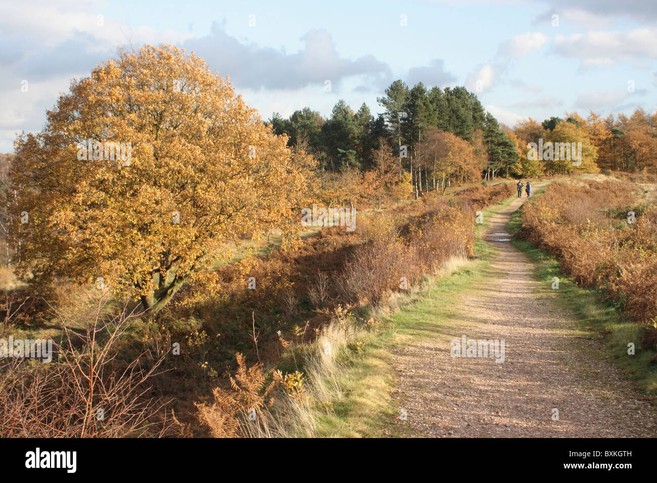 Ring castle hi-res stock photography and images - Alamy