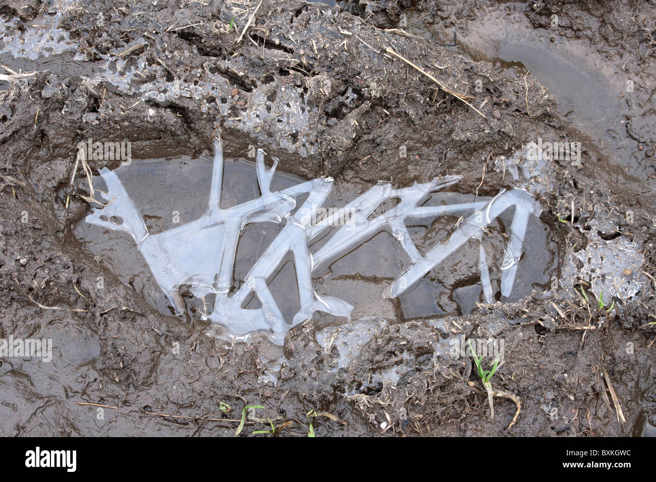 Frozen mud hi-res stock photography and images - Alamy