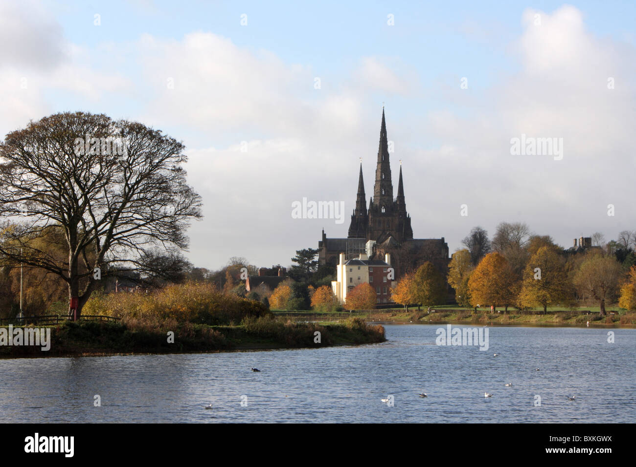 Lichfield cathedral view hi-res stock photography and images - Alamy