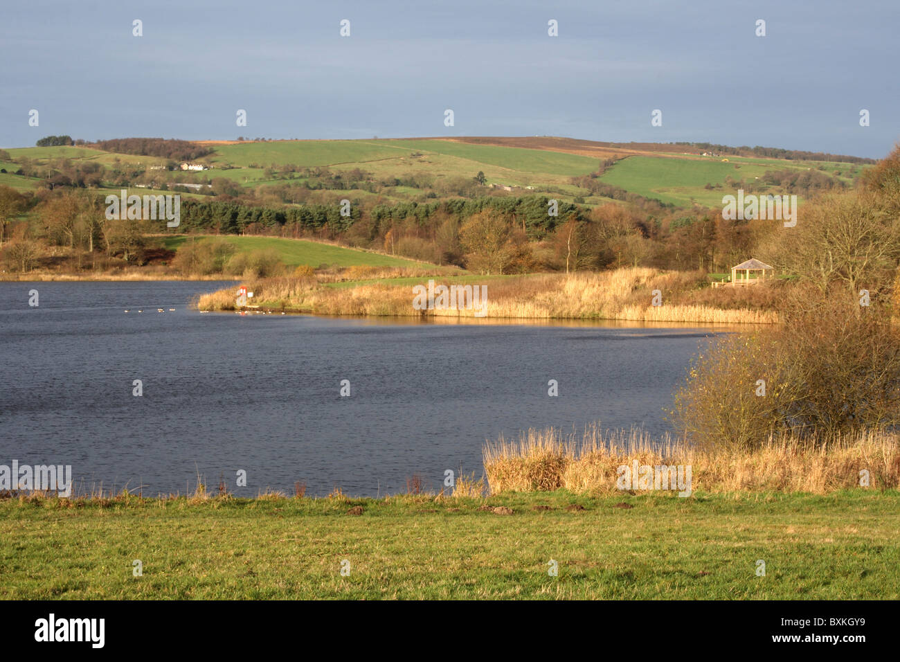 Tittesworth reservoir hi-res stock photography and images - Alamy