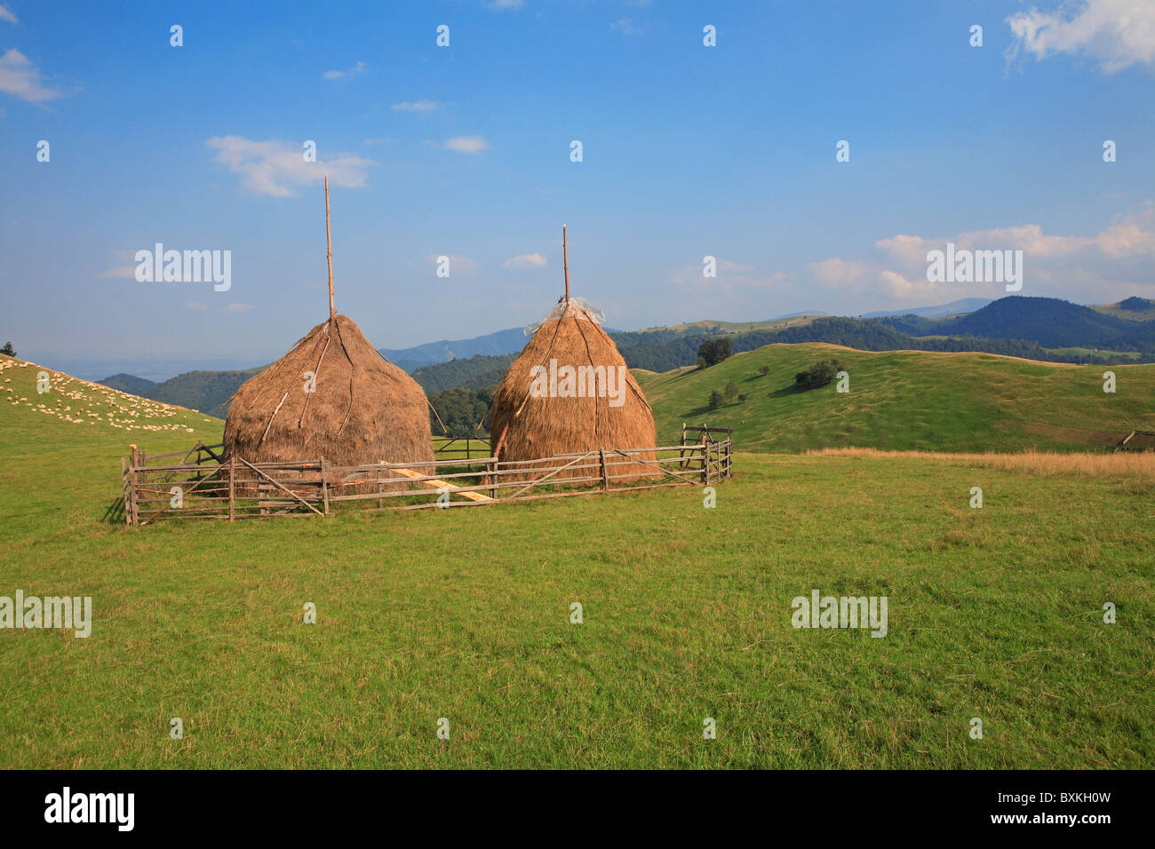 Romania, Transylvania, Paltinis, Near Sibiu Stock Photo - Alamy