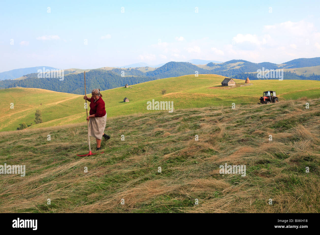 Romanian farmer hi-res stock photography and images - Alamy