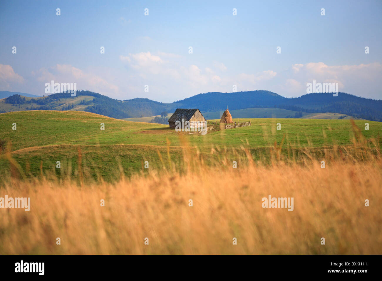 Paltinis hi-res stock photography and images - Alamy