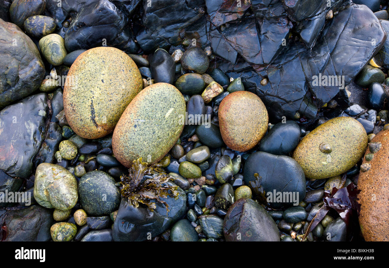 Just pebbles hi-res stock photography and images - Alamy