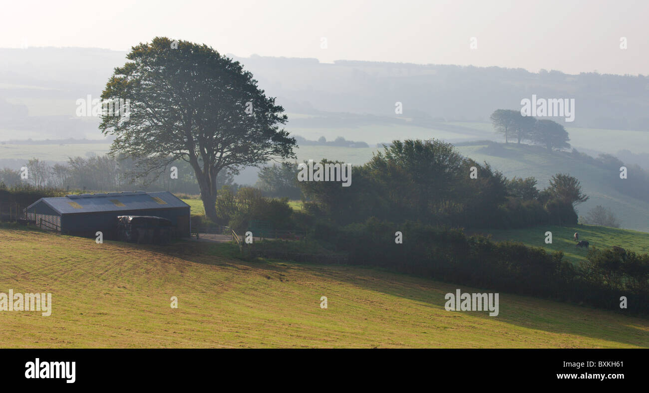 Webbers cross hi-res stock photography and images - Alamy