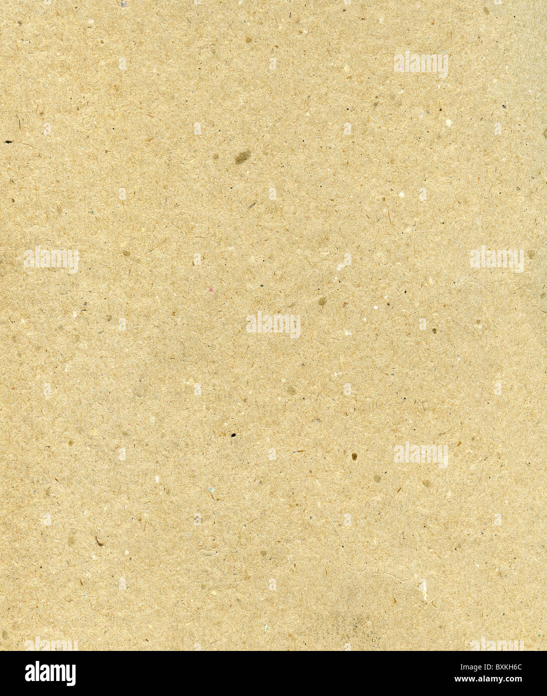 Textured recycled paper with natural fiber parts Stock Photo - Alamy