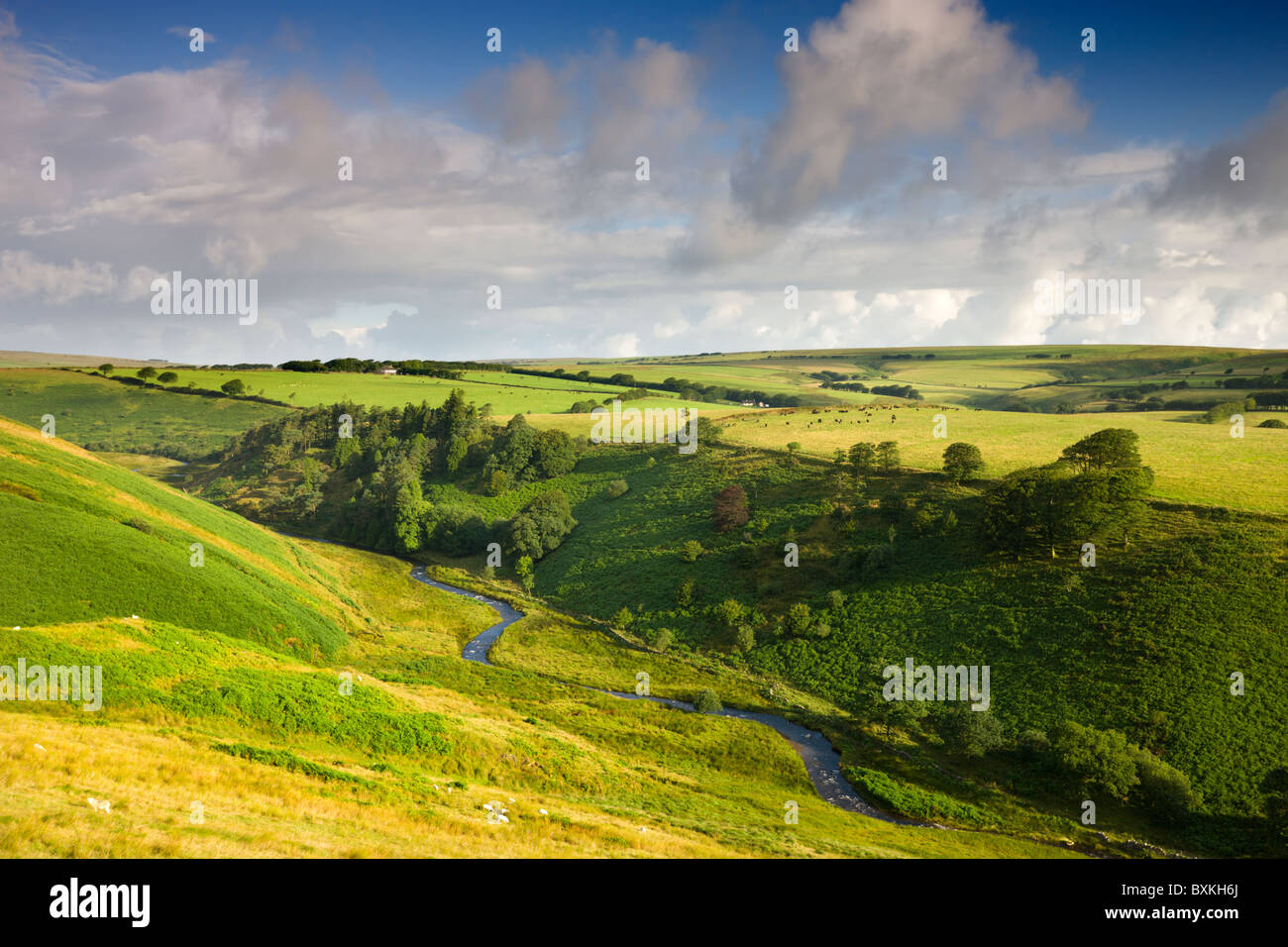Exmoor National Park Stock Photo - Alamy