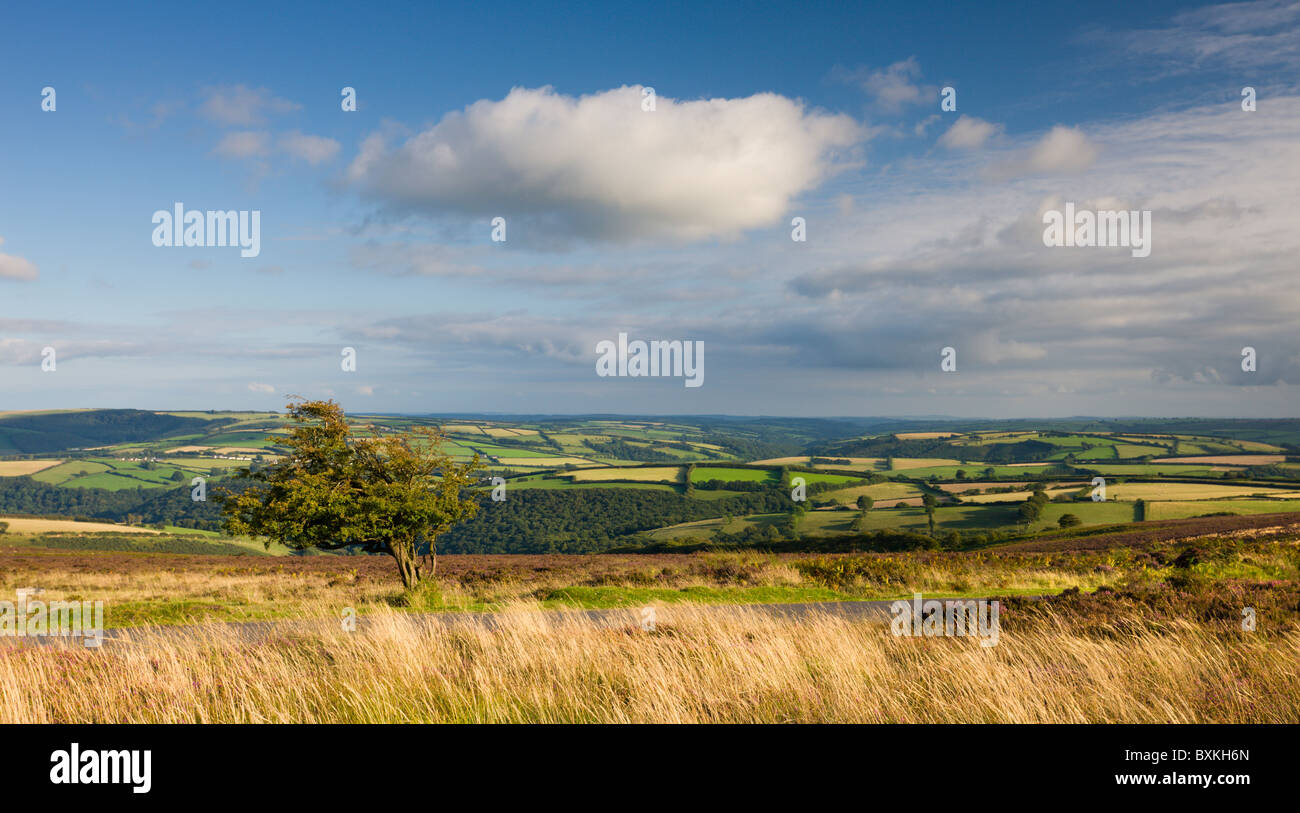 Exmoor National Park Stock Photo - Alamy
