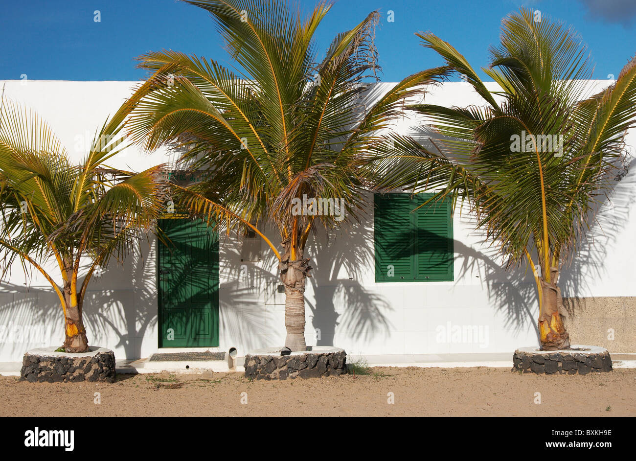 Palm trees in la hi-res stock photography and images - Alamy