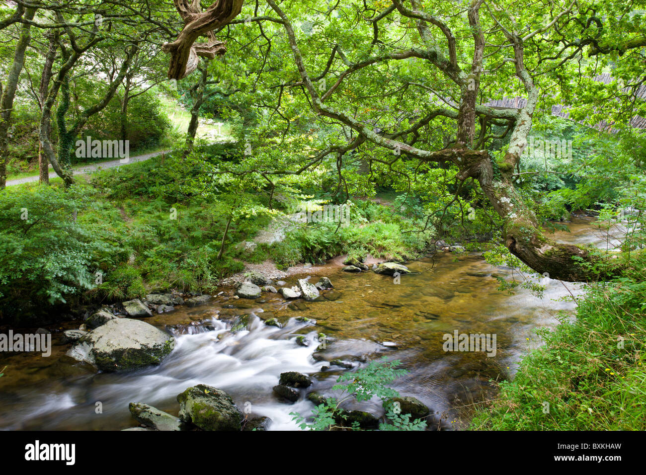 Exmoor National Park Stock Photo - Alamy