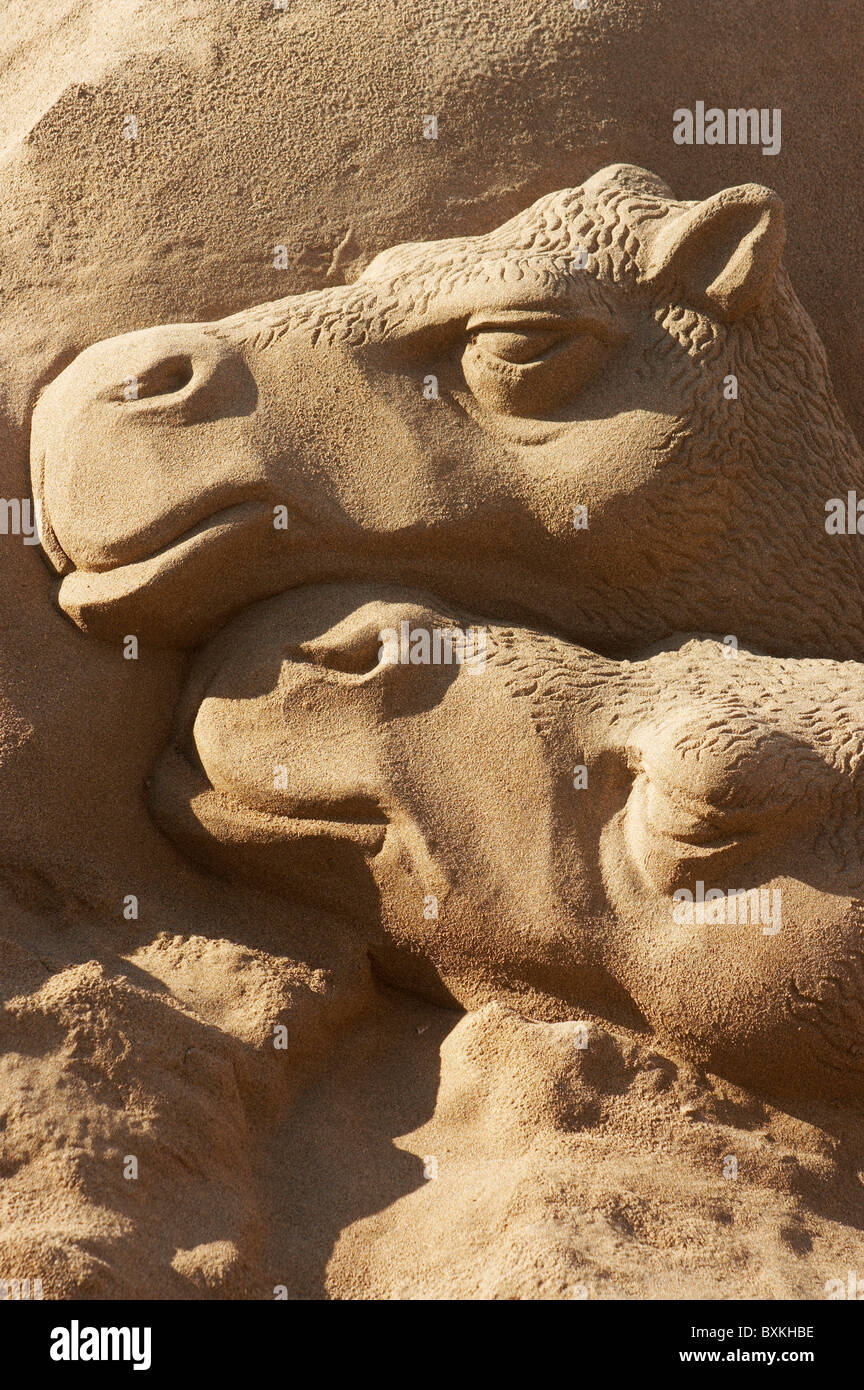 Camel Sand Sculpture On Las Canteras Beach Stock Photo - Alamy