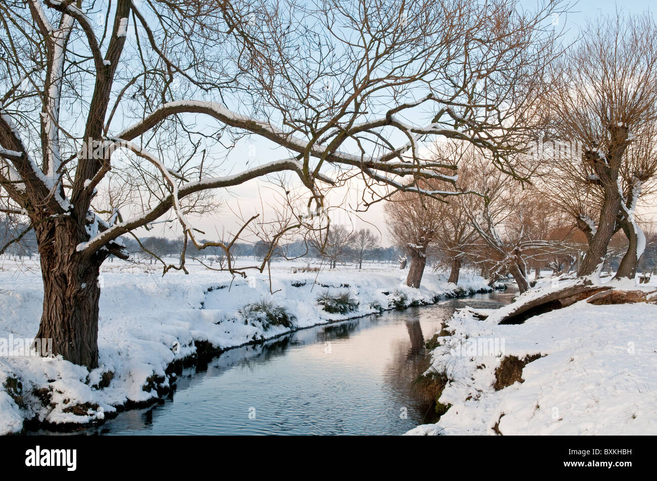 Winter scene, Richmond Park, Surrey, England Stock Photo - Alamy