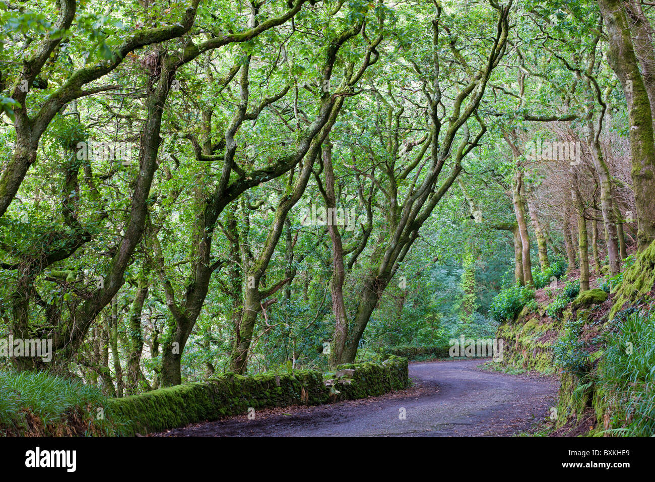 Exmoor National Park Stock Photo - Alamy