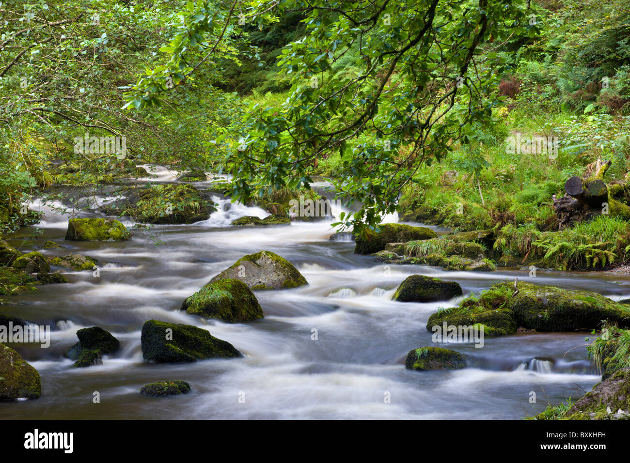 Exmoor National Park Stock Photo - Alamy