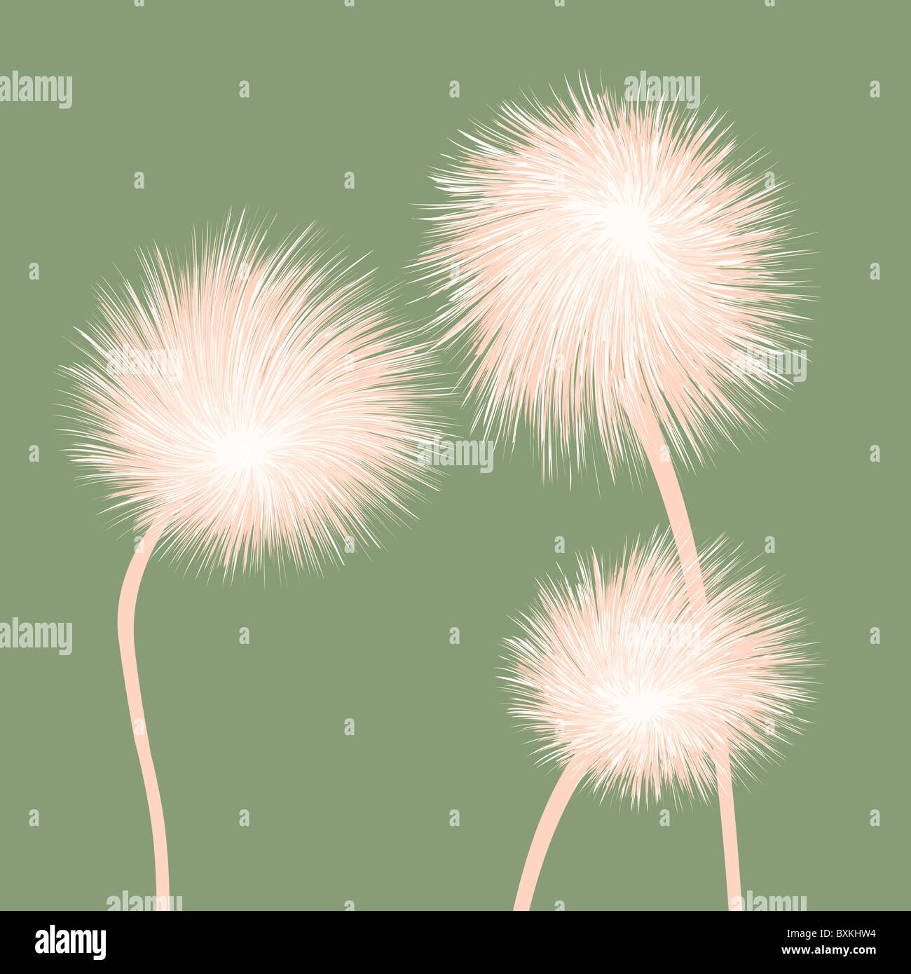 Stylized dandelion flowers hi-res stock photography and images - Alamy