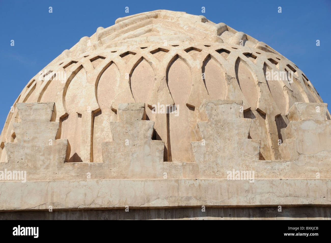 Dome shaped tree hi-res stock photography and images - Alamy