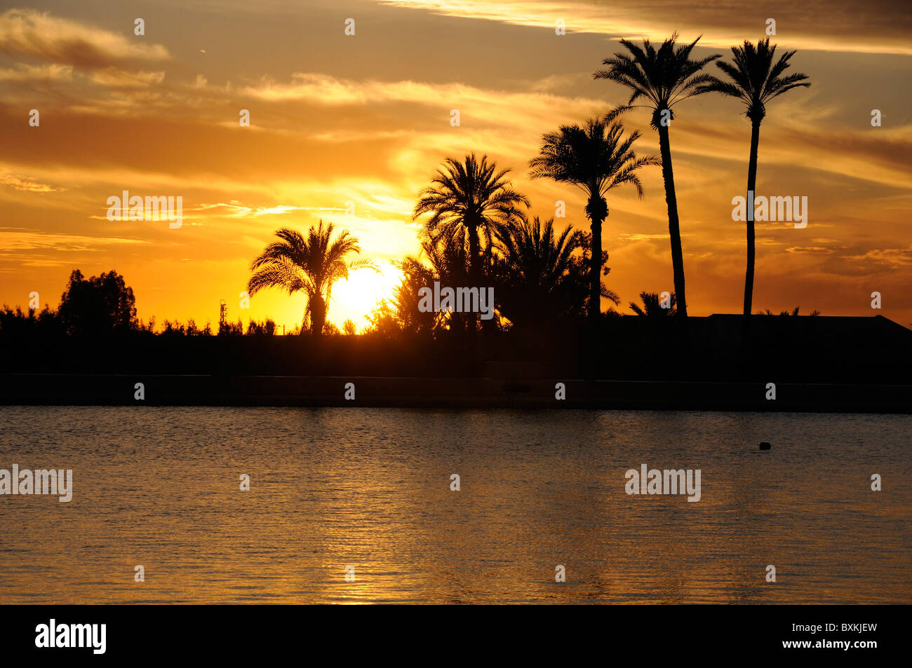 Sunset across pool with palms and garden towards the High Atlas ...