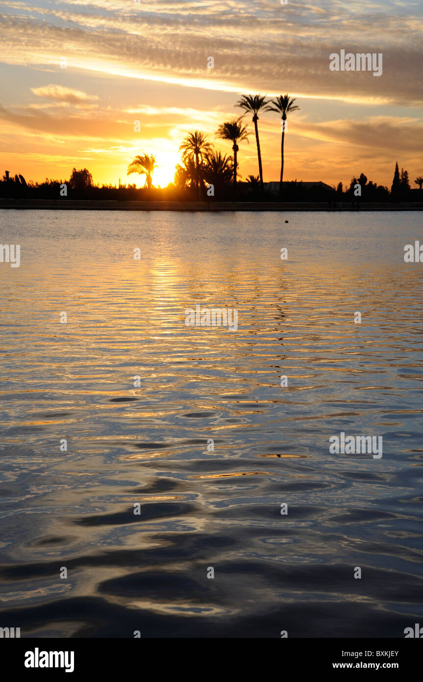 Sunset across pool with palms and garden towards the High Atlas ...