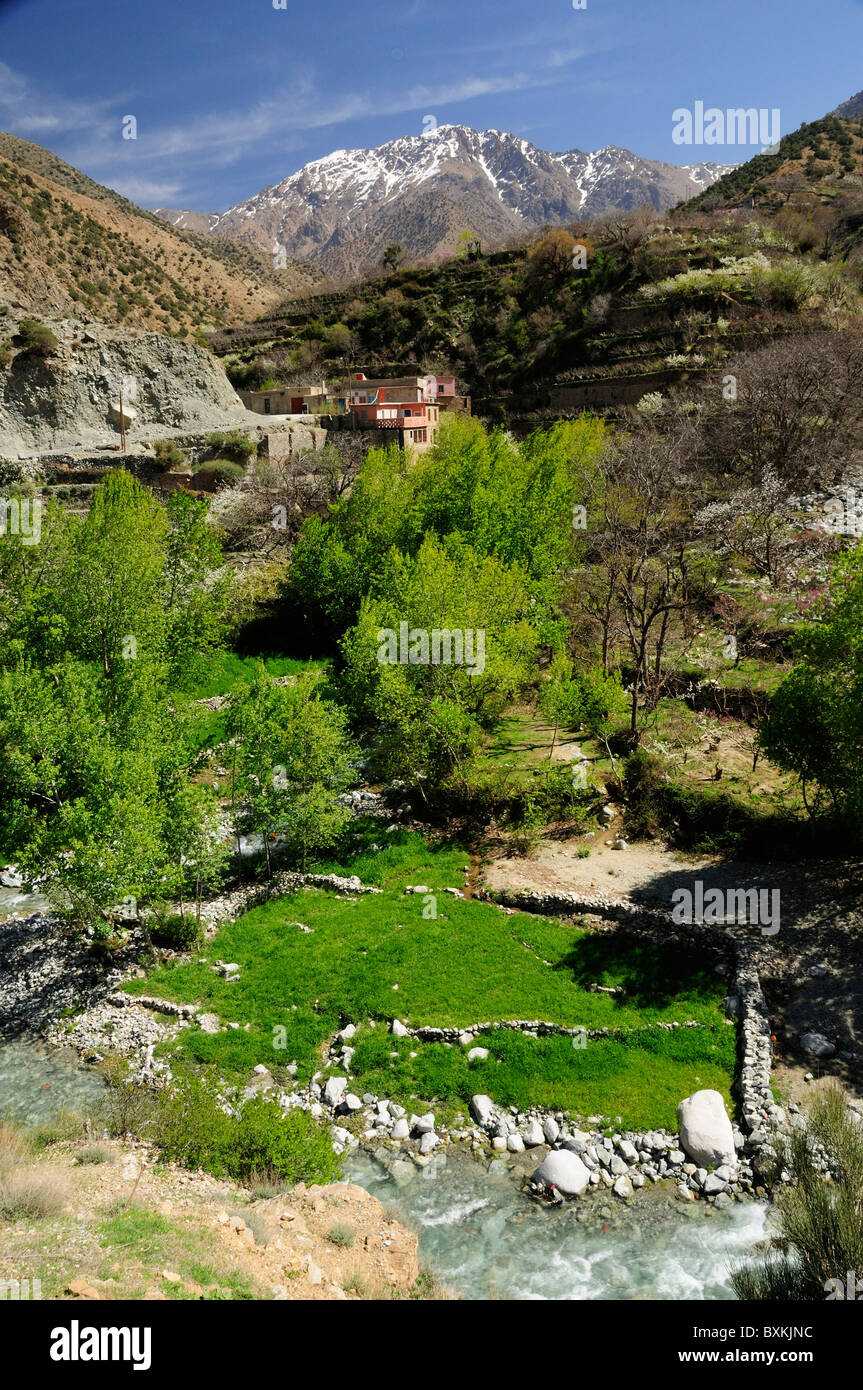 Fatma said hi-res stock photography and images - Alamy