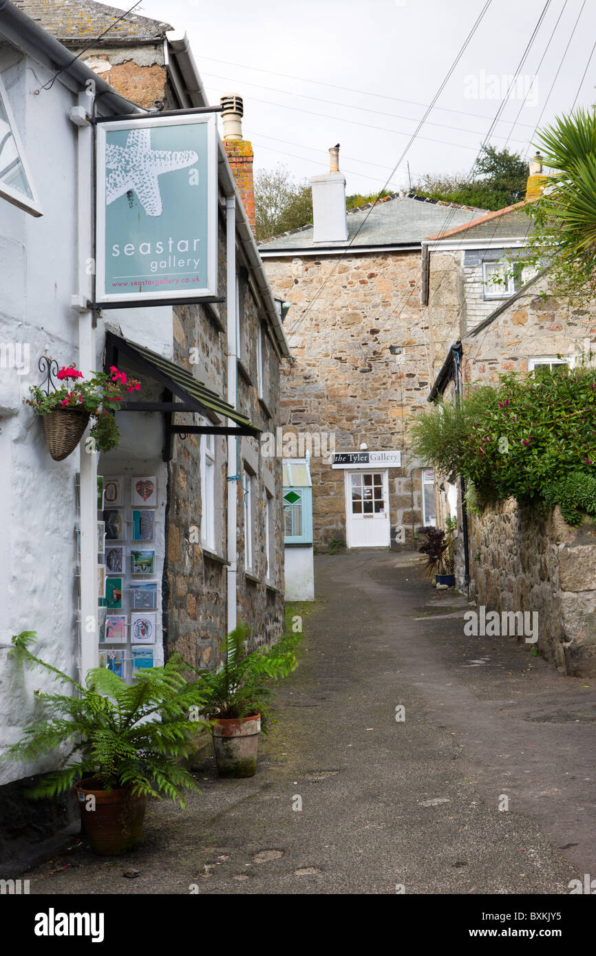 Seastar gallery hi-res stock photography and images - Alamy