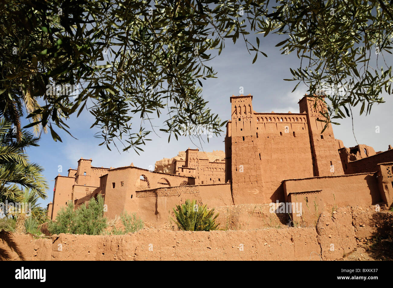 Olive tree view hi-res stock photography and images - Alamy