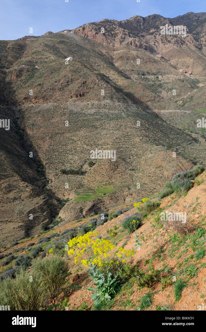 Tizi n test pass hi-res stock photography and images - Alamy