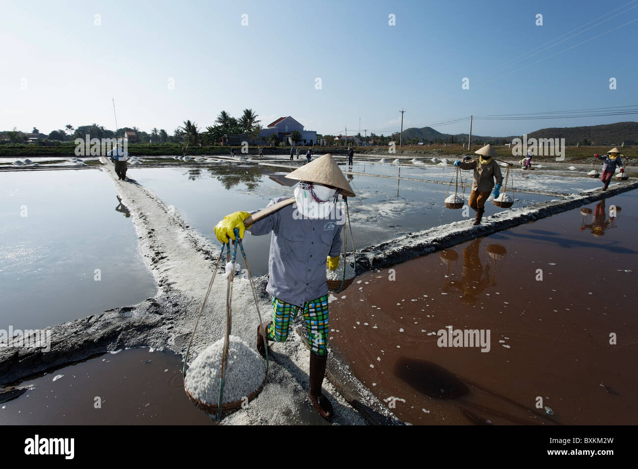 Salt Production China High Resolution Stock Photography and Images - Alamy
