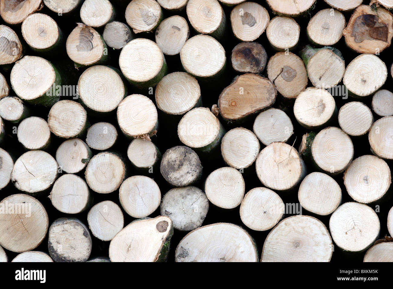 Log pile close up Stock Photo - Alamy