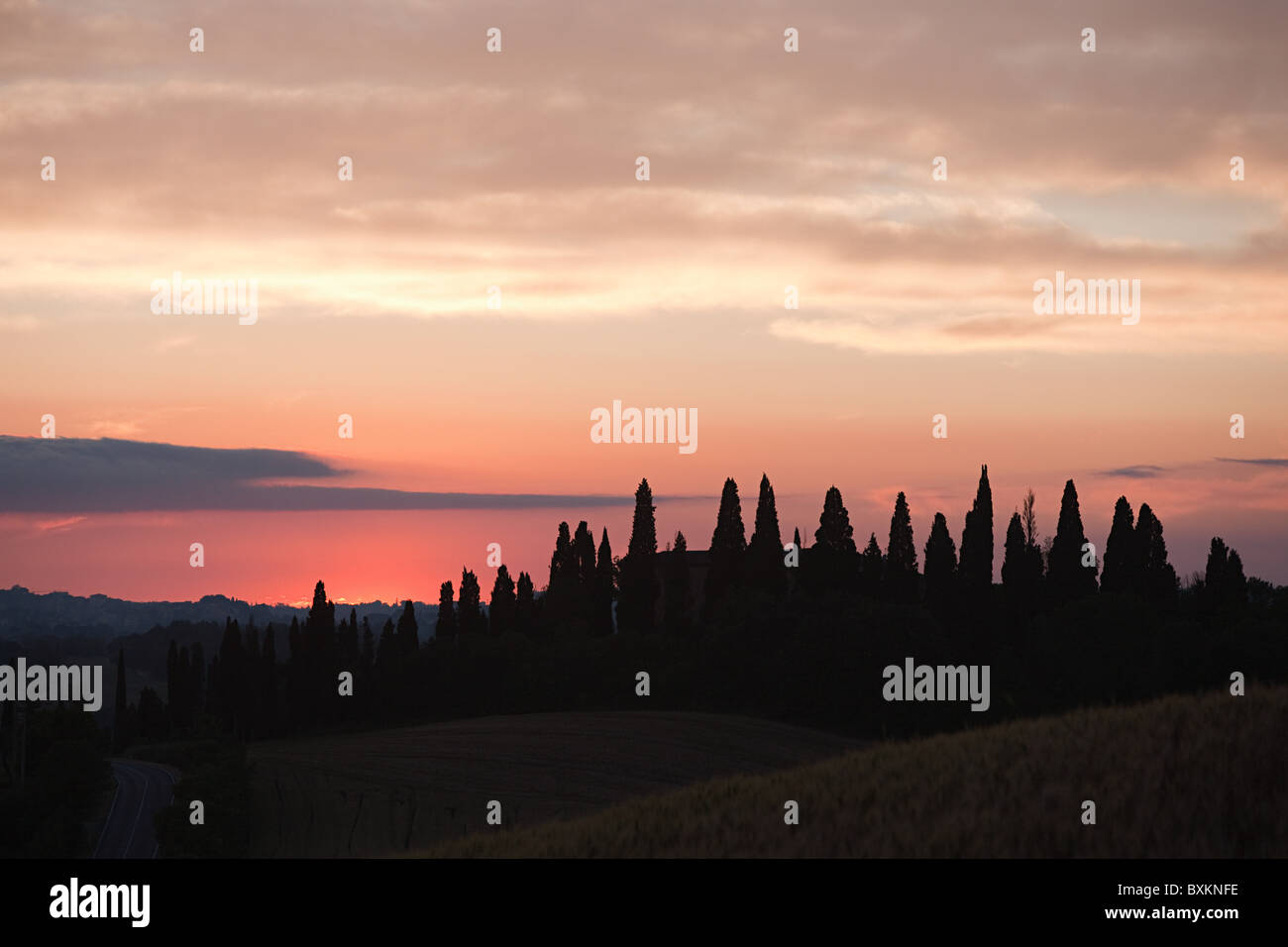 Cypress trees in silhouette hi-res stock photography and images - Alamy