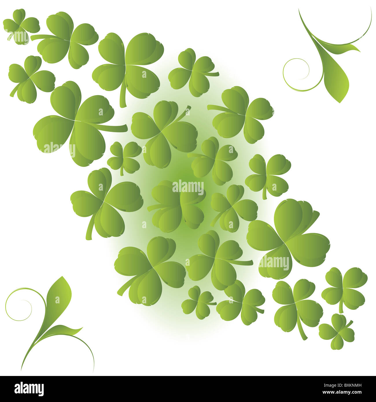 Real clover Cut Out Stock Images & Pictures - Alamy
