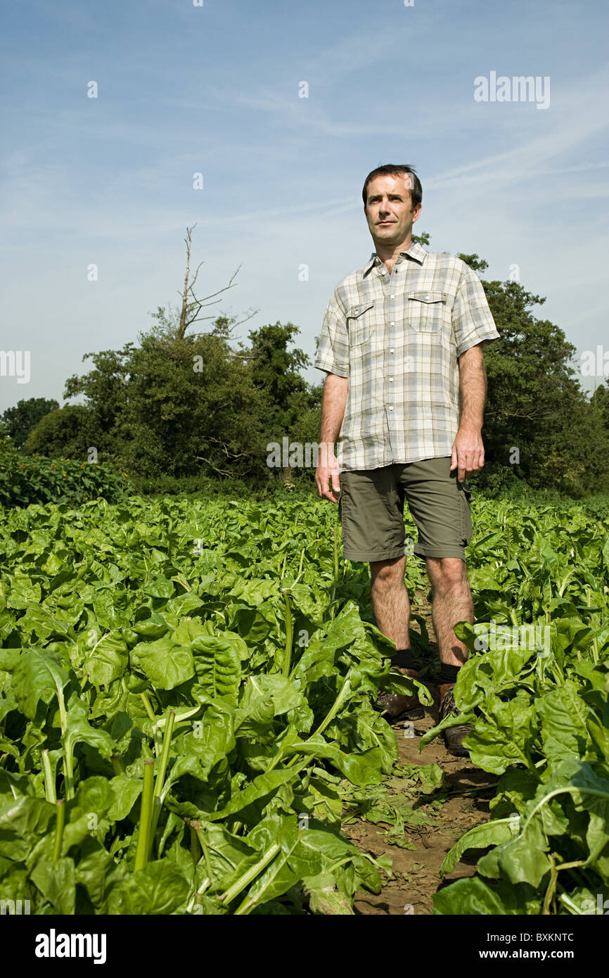 Farmer standing in field Stock Photo - Alamy